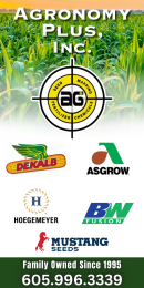 © 2025 Mitchell Kernels Live